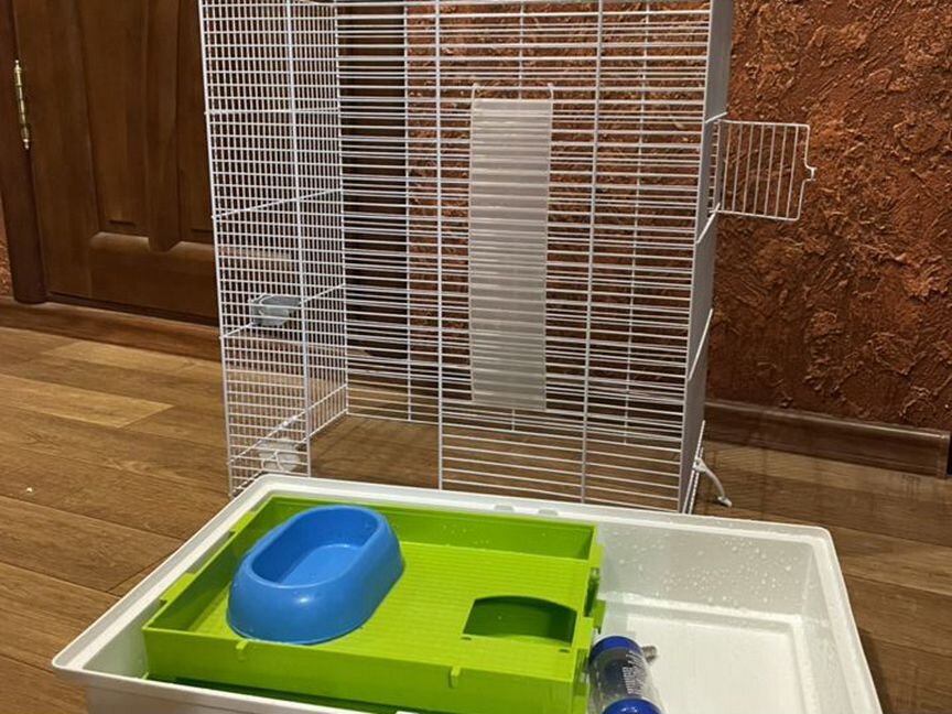 Клетка