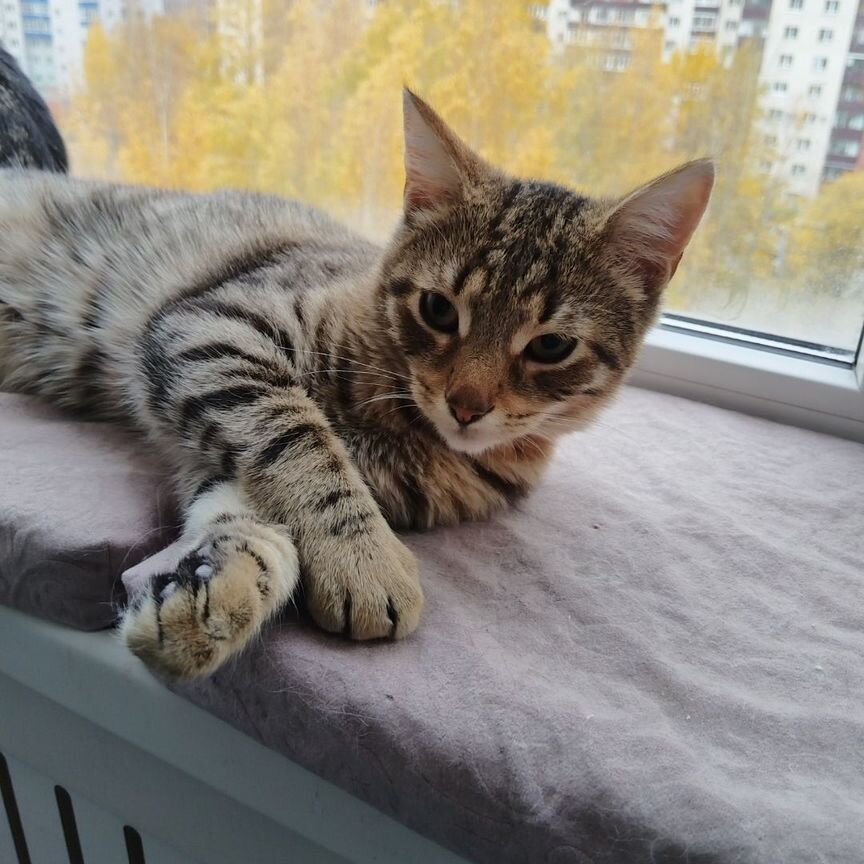 Малышу 5 месяцев