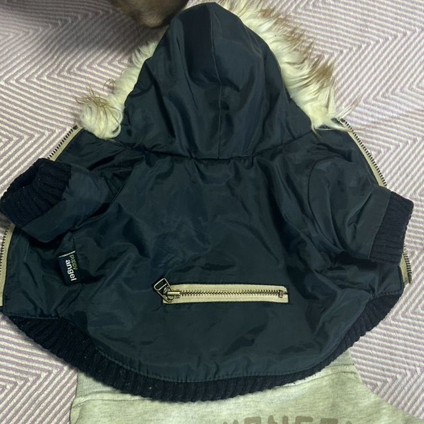 Костюм для маленькой собачки