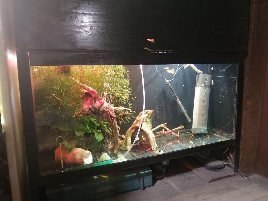 Аквариумная стойка