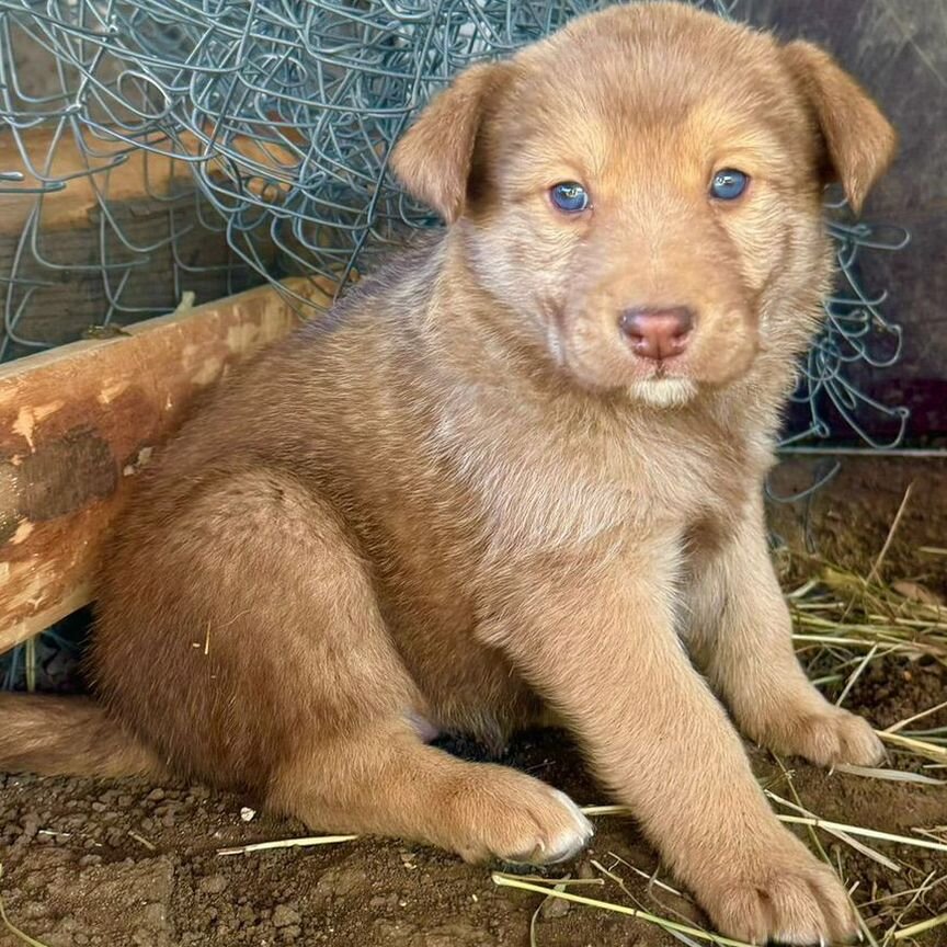 Малышам очень нужен дом
