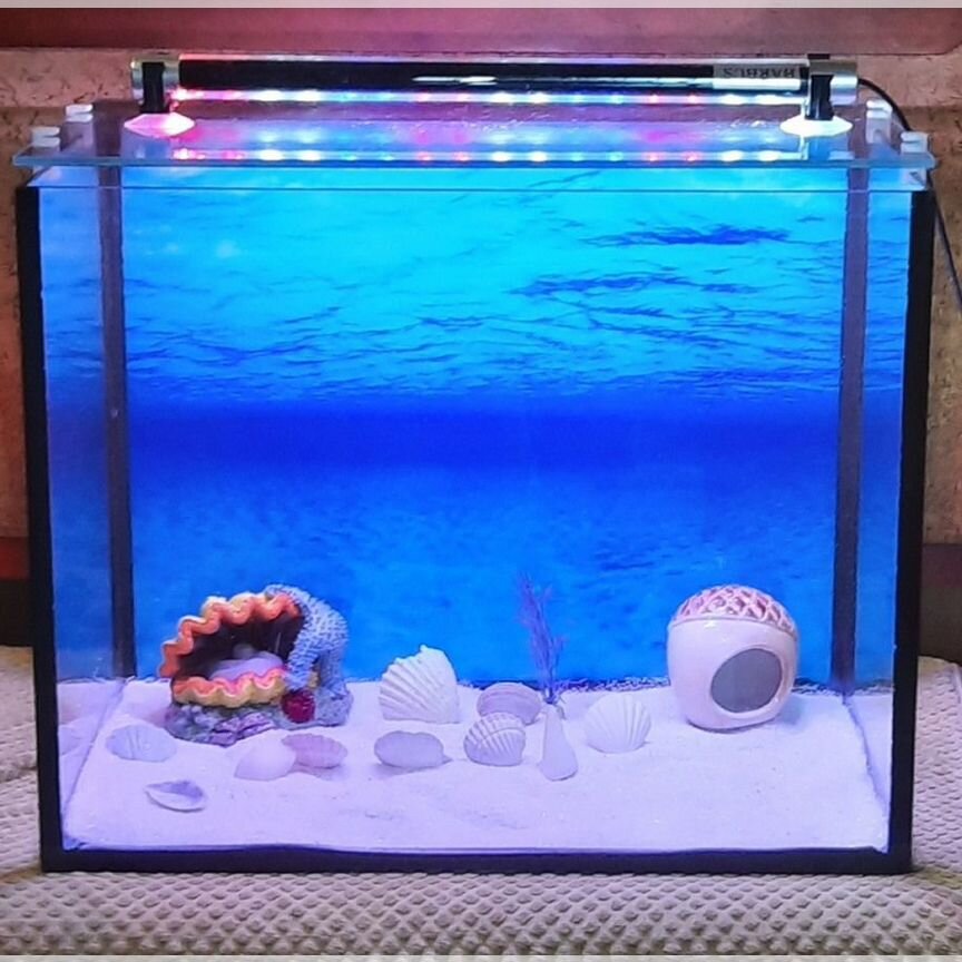 Аквариум 60литров-ваш индивидуальный подводный мир