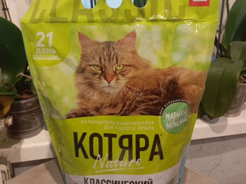 Наполнитель и корм для кошки