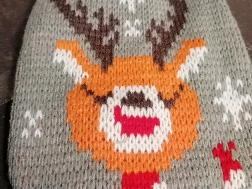 Одежда доя собачек