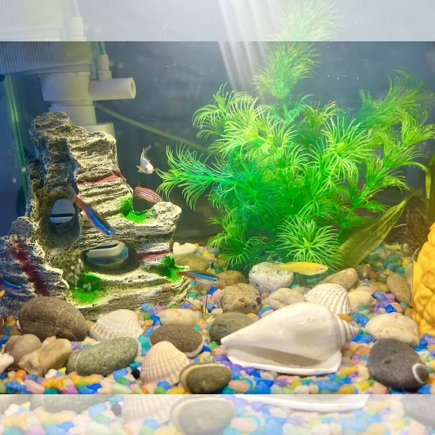 Продаю аквариум на 10 литров