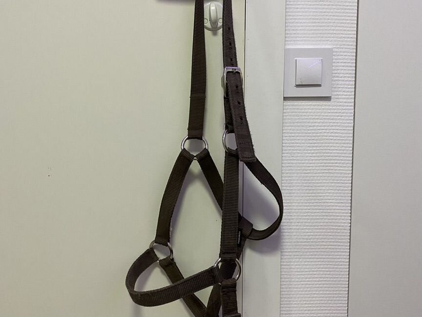 Недоуздок для лошади