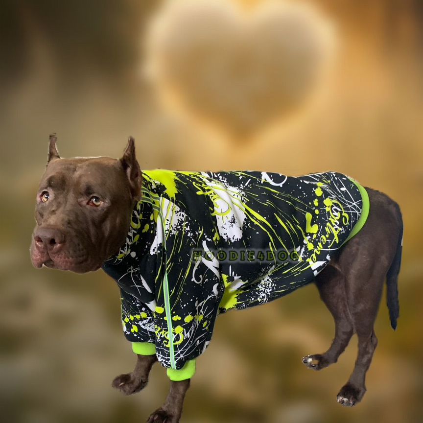 Толстовка для собаки