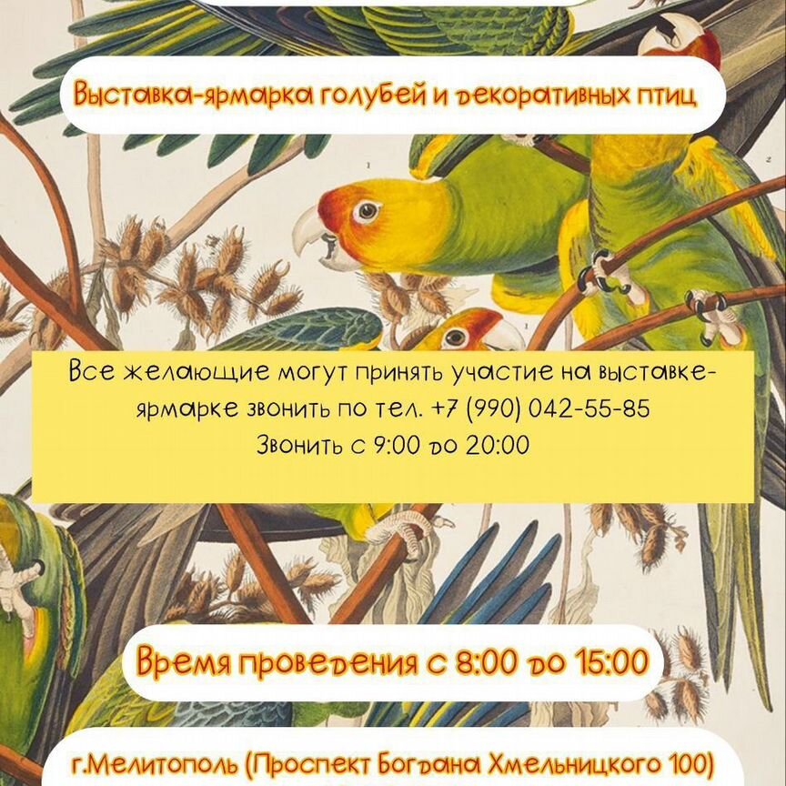 Ярмарка выставка