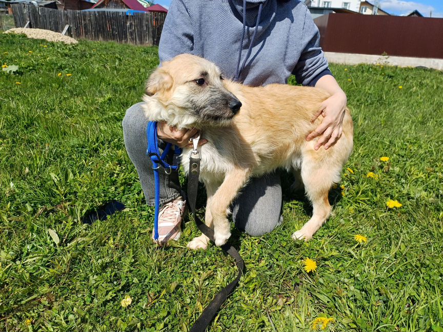 Самая милая ищет семью