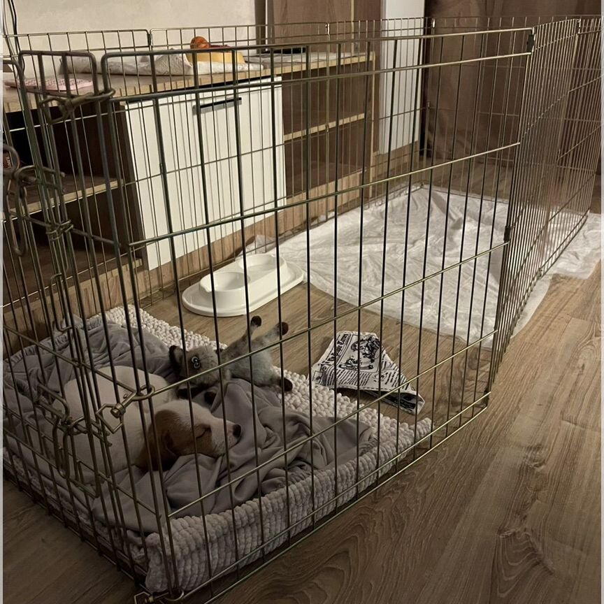 Вольер для собак, клетка большая для питомца