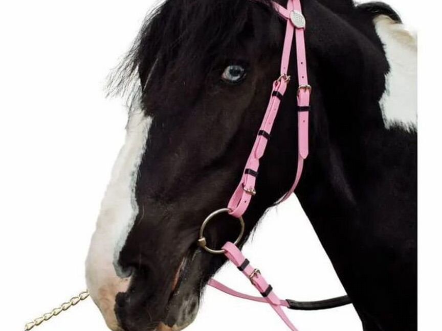 Уздечка для Пони