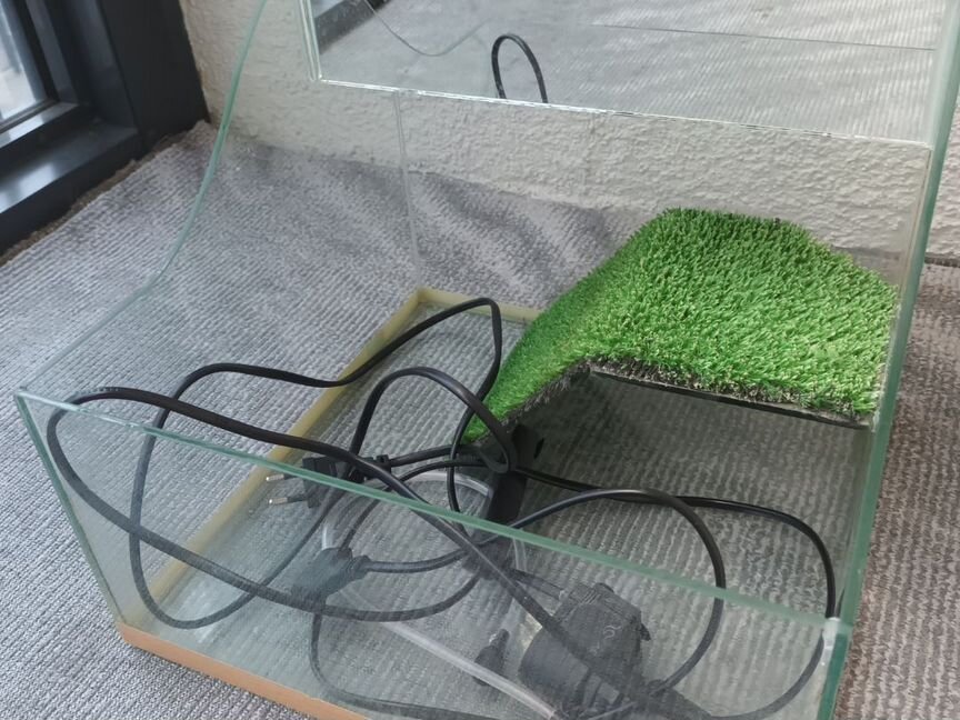 Акватеррариум для красноухой черепахи