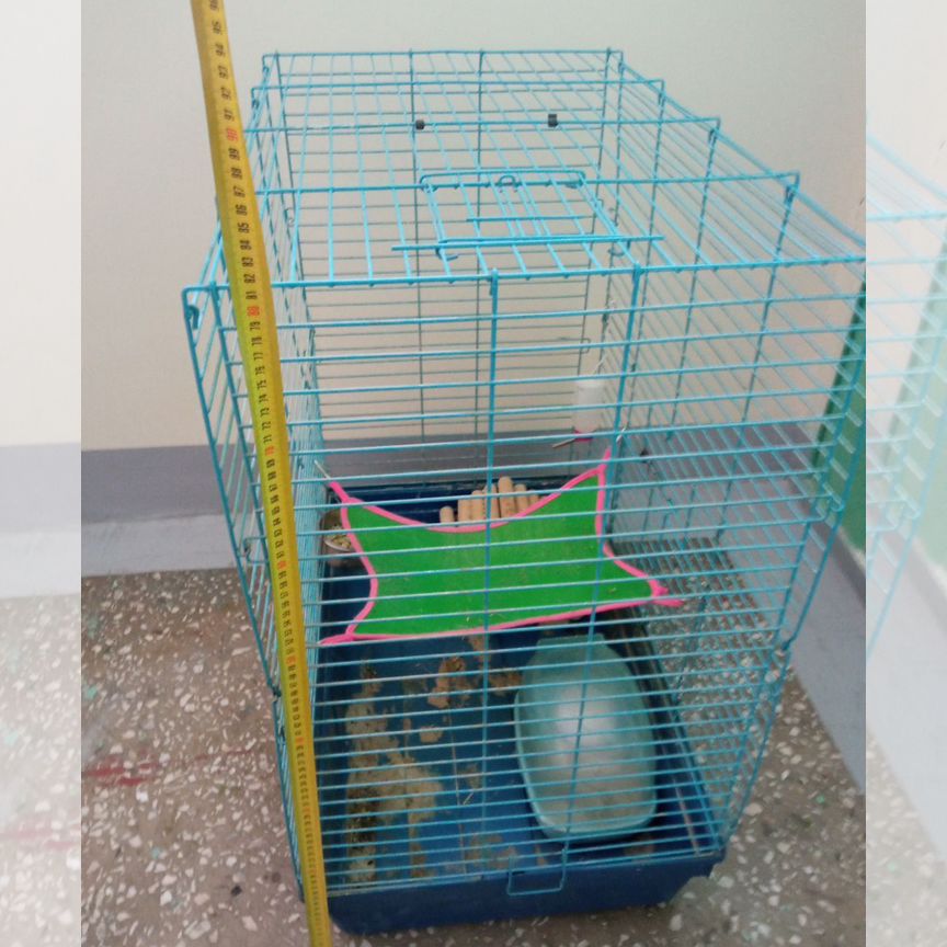 Клетка для грызунов большая