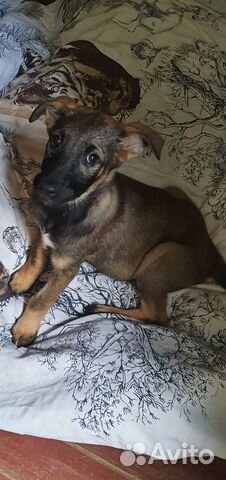 Арти готова стать Вашей:)