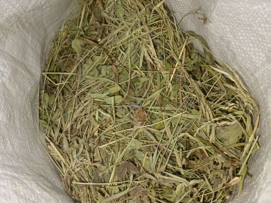 Сено разнотравье