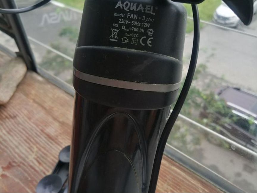 Домашние животные