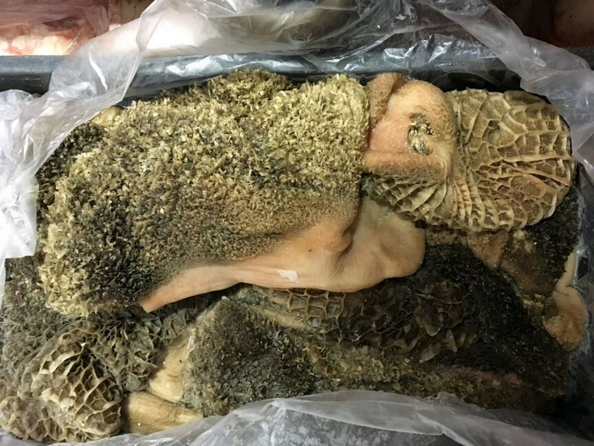 Корм для животных рубец,обрезки