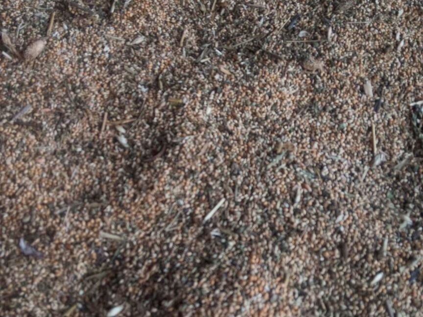 Отходы просо