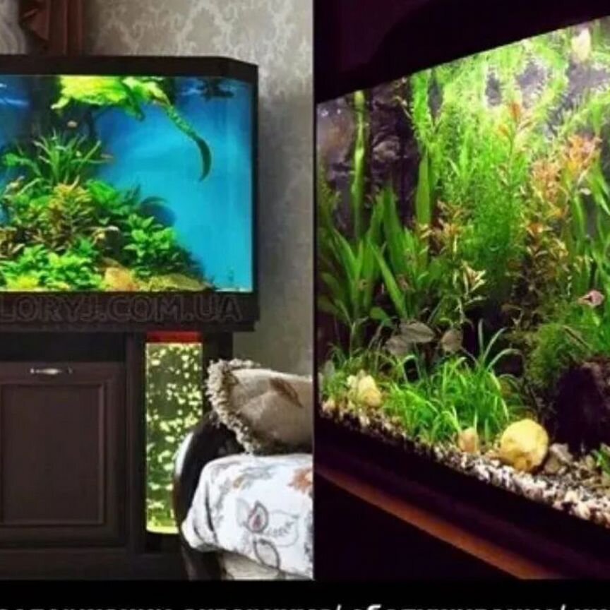 Уход за аквариумом, комплексное обслуживание