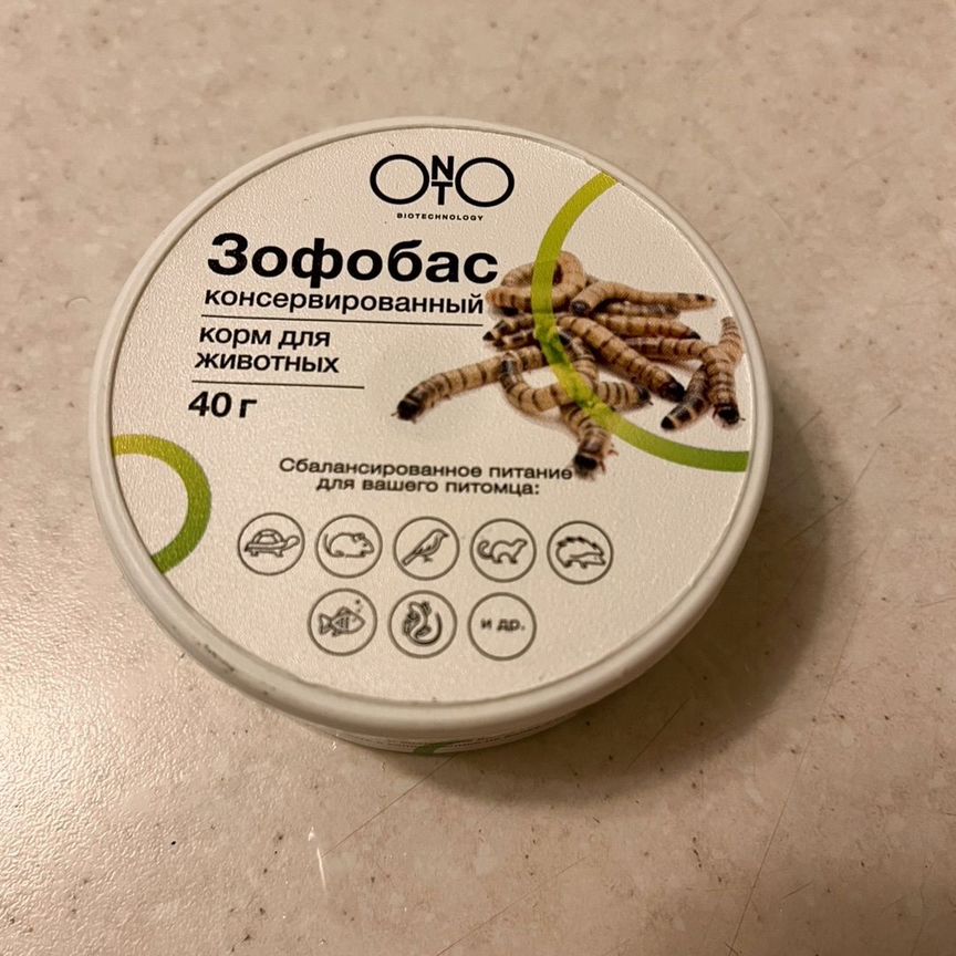 Зофобас консервированный