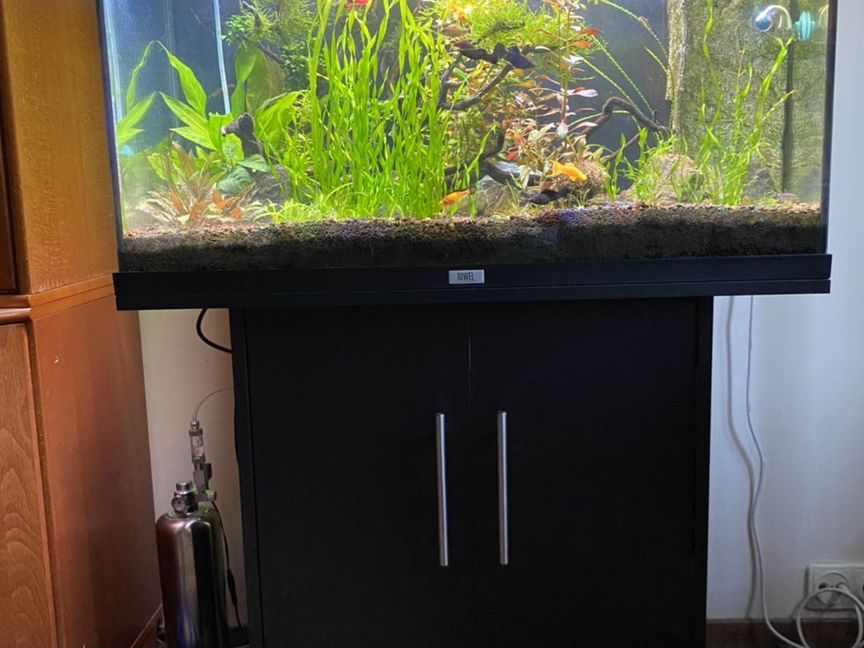 Аквариум juwel rio 125 Рио 125