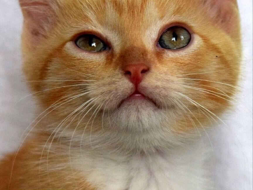 Лилу