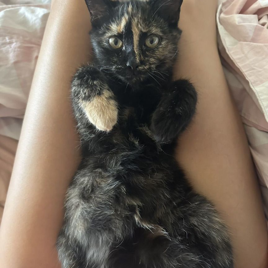 Раскайфованный подросток мейкуна :)