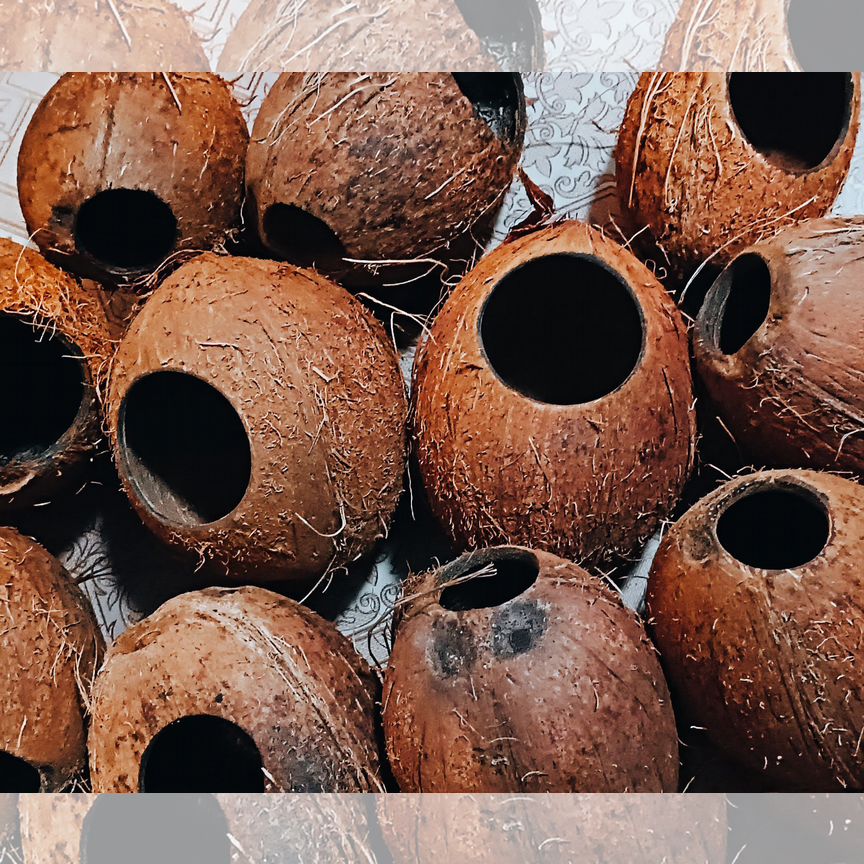 Кокосы для аквариума