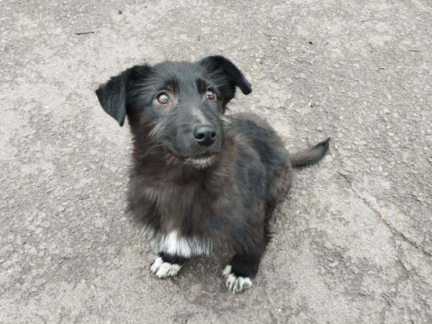 Маленький смешной Мишенька