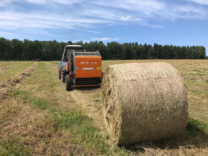 Сено урожай 2024