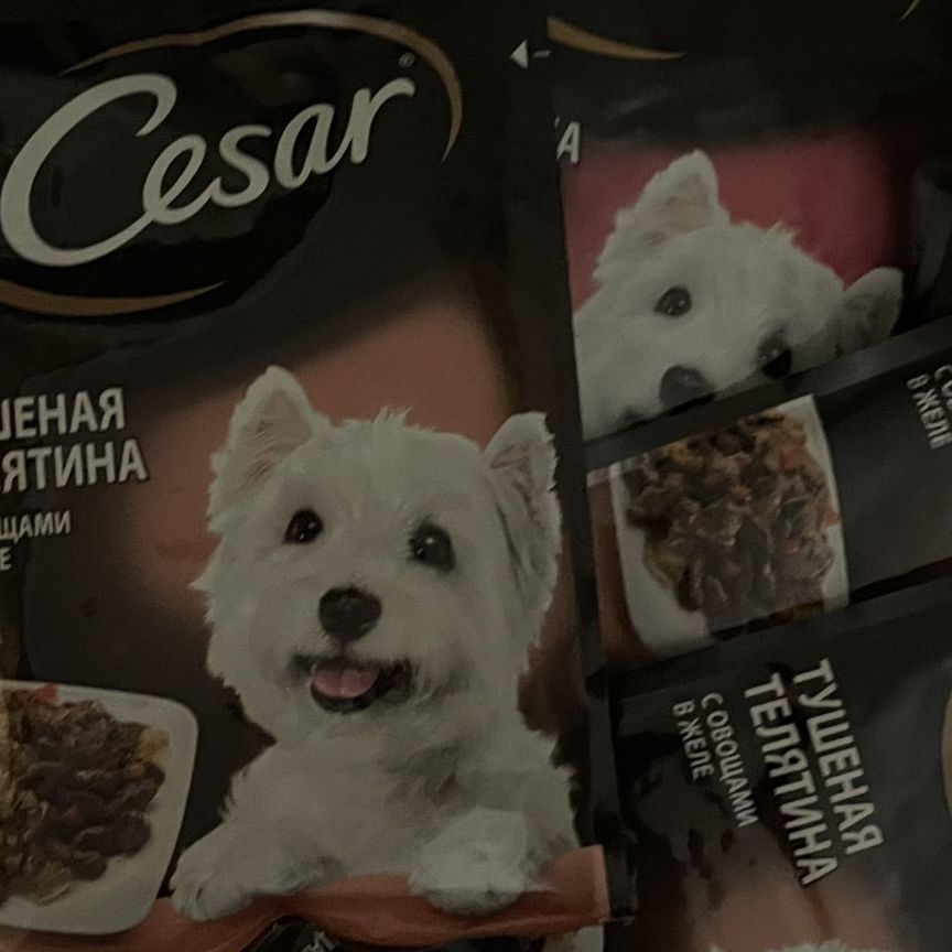Влажный корм для собак cesar 20 пакетиков