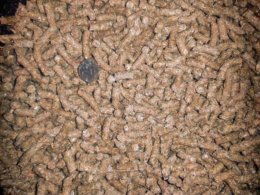 Корма для сельскохозяйственных животных