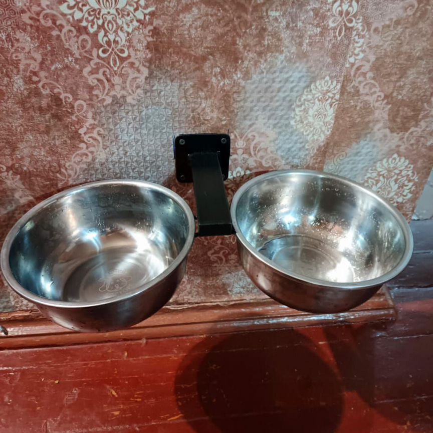 Собачья миска