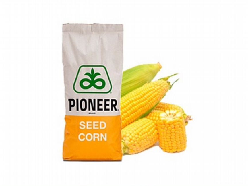 Продукция pioneer