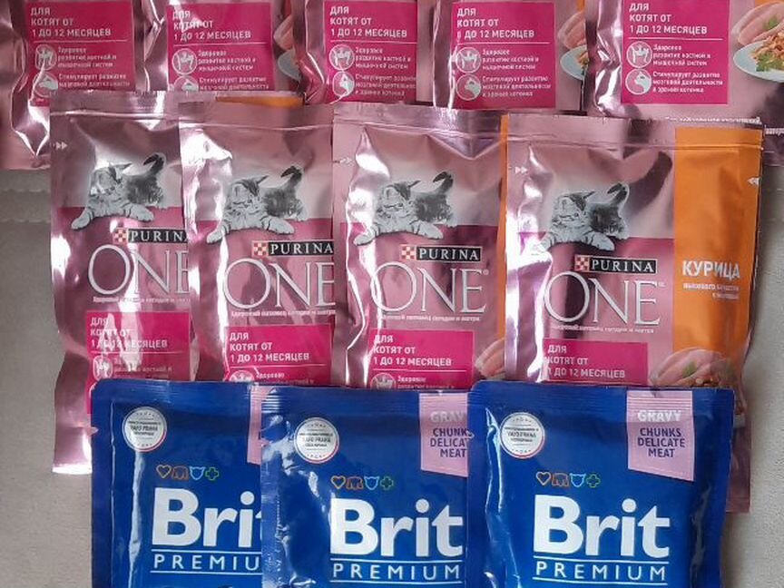 Purina one, Brit для котят