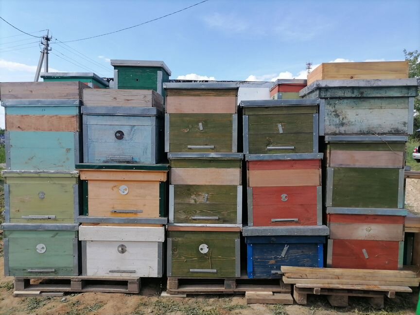 Улей для пчел