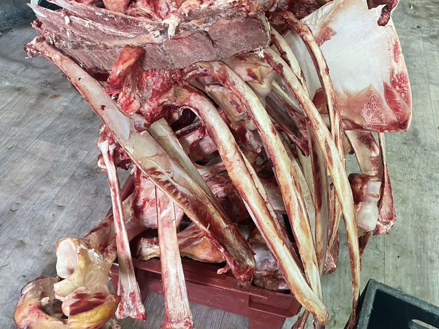 Кости крс животным