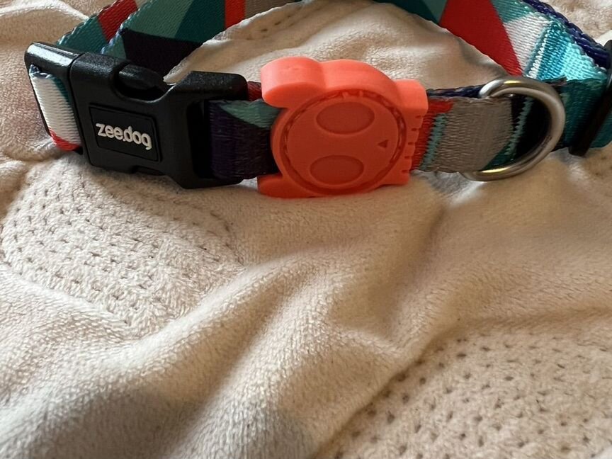 Ошейник zee.dog