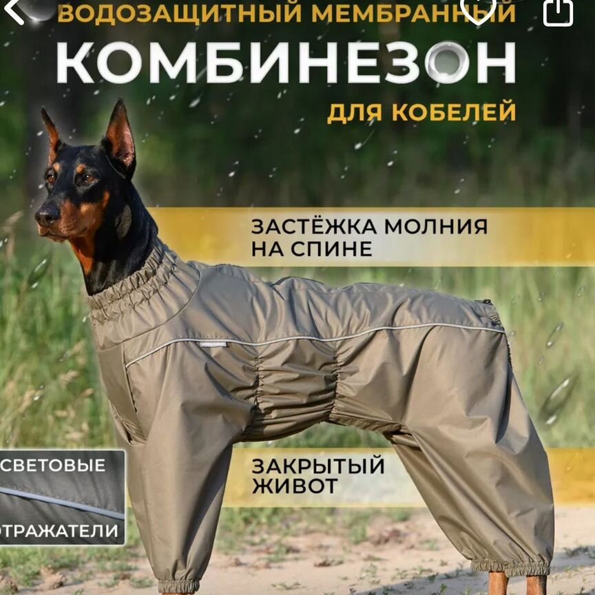 Комбинезон для собаки