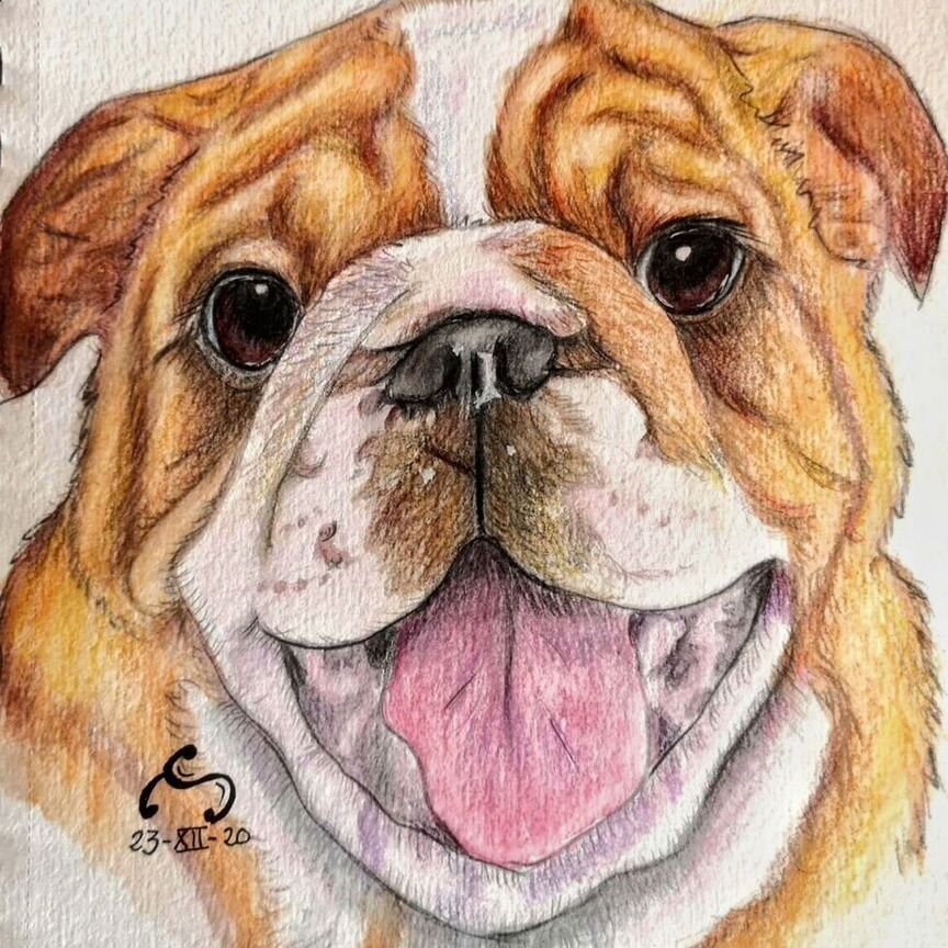 Рисую ваших питомцев