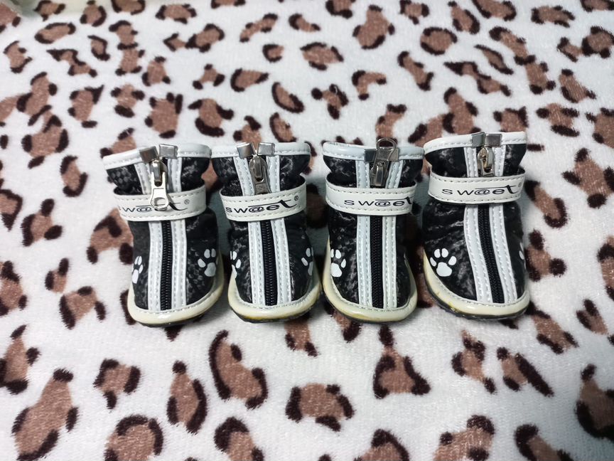 Обувь для собак