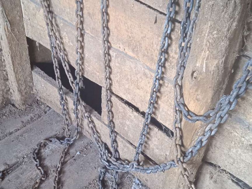 Цепь для коров, бычков, лошадей