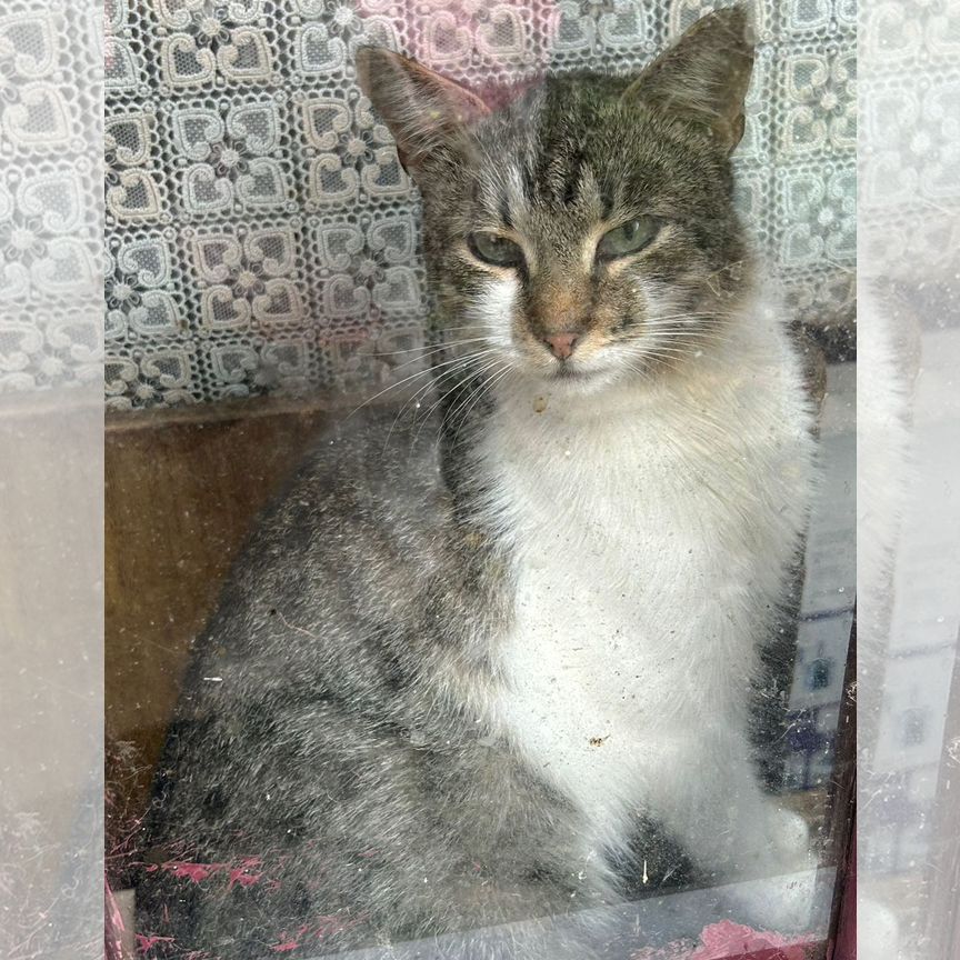 Забери меня. Я замерзаю