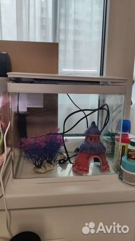 Аквариум 10л