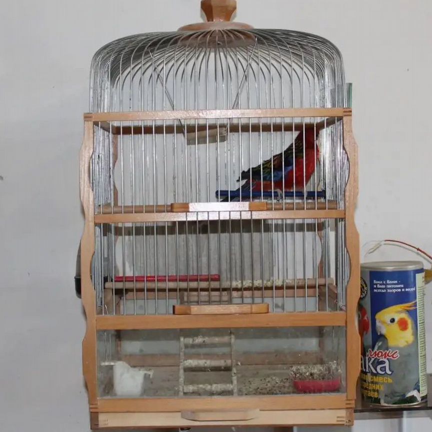 Попугай вместе с клеткой