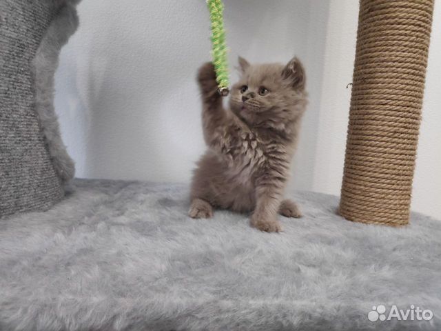 Супер предложение
