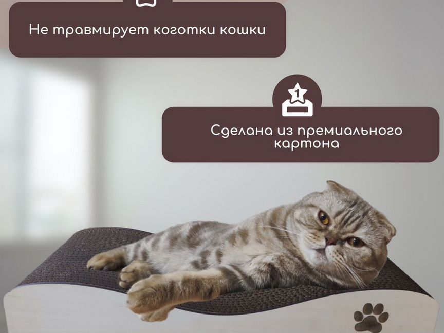 Когтеточка-лежанка картонная