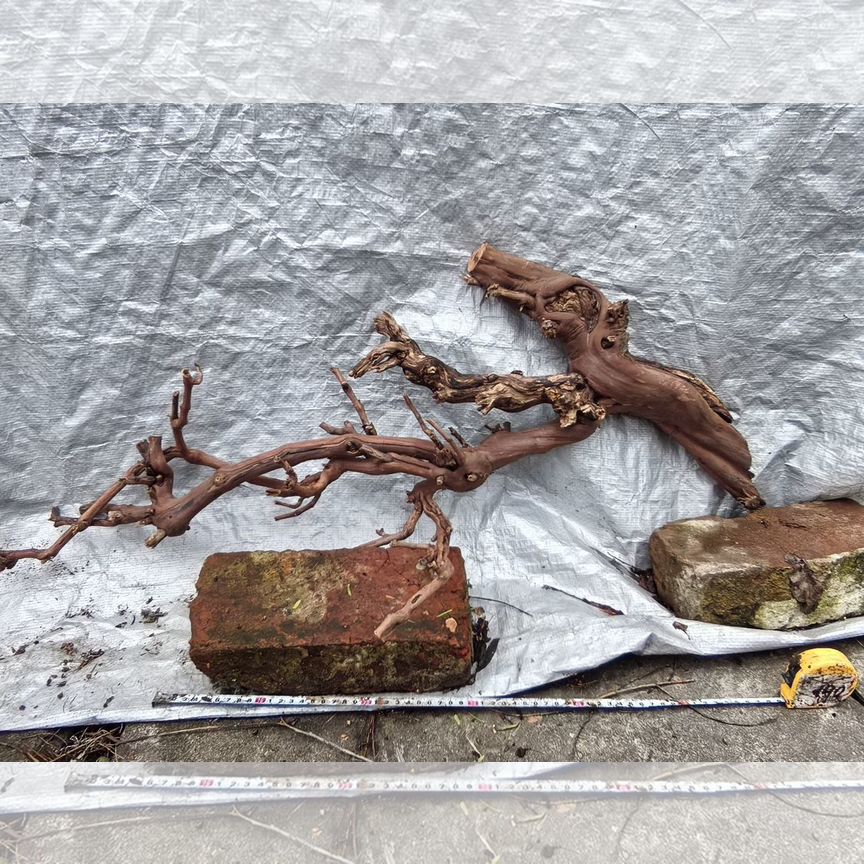 Коряга для декора