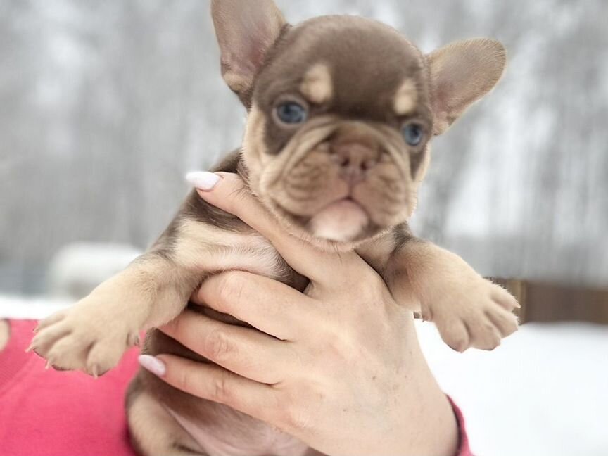 Эксклюзивчики