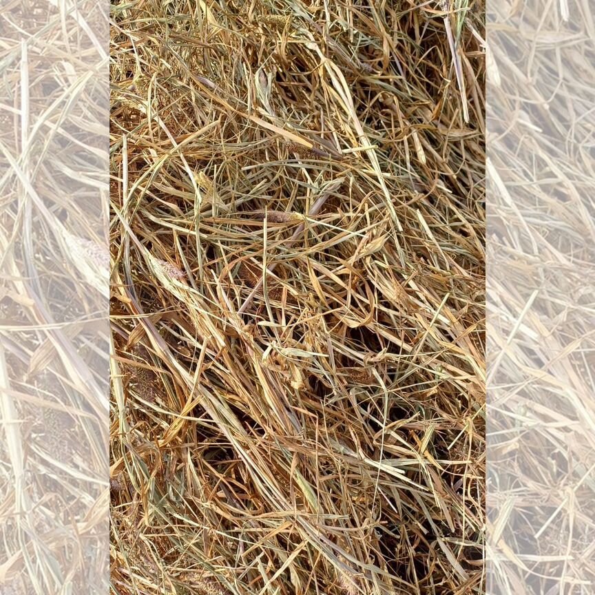 Сено в рулонах
